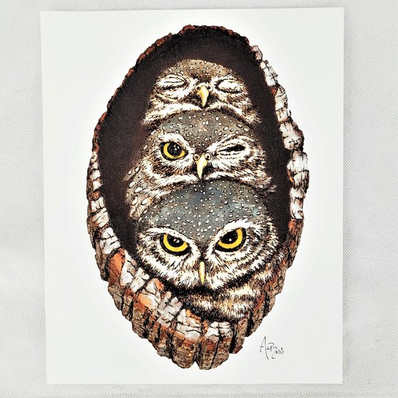 ALP | Art | Owl Print Triple Stack Owls Signed Alp 20 8 X 10 Browns ...